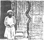 The symbol of serpent and dragon – an Jungian view | stOttilien